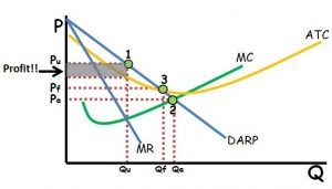 Key Points, Prices, and Quantities on Micro Graphs - ReviewEcon.com