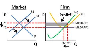 18 Key Microeconomics Graphs - AP/IB/College - ReviewEcon.com